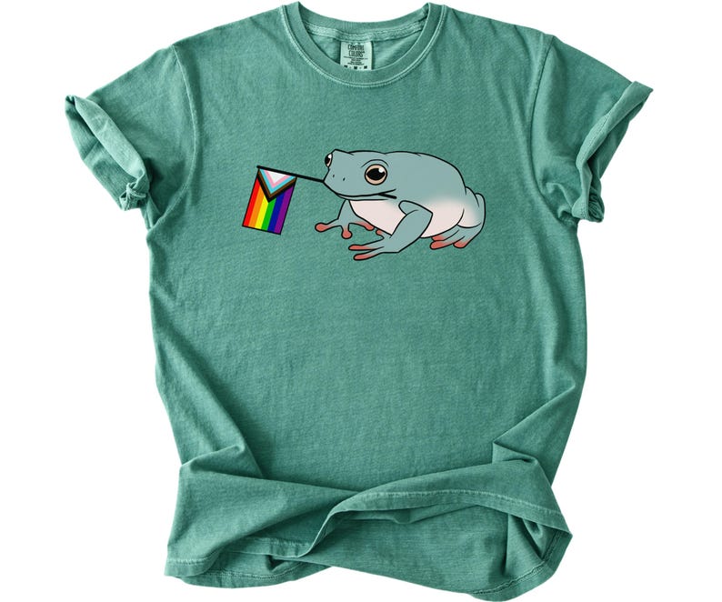 Cute Gay Frog Shirt – Pride LGBT Tee With Trans & Rainbow Flag - Etsy