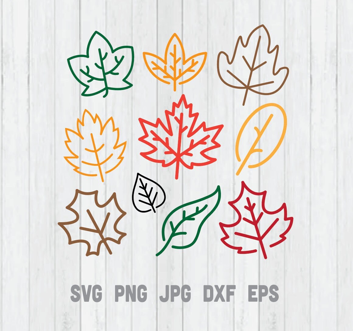 Fall Leaves SVG Bundle: Cricut & Silhouette Cut Files (digital Download ...