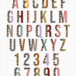 Color ABC Leopard Print Animal Alphabet and Numbers Bundle - Layered ...