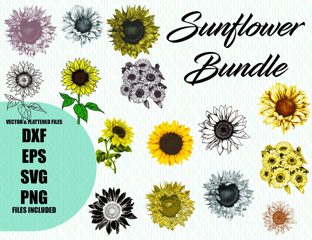 Sunflower SVG Sunflower PNG Sunflower Sublimation File - Etsy