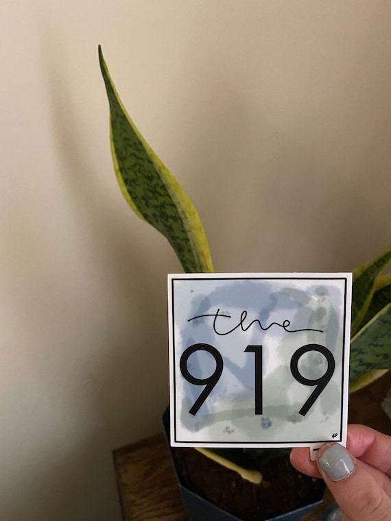 The 919 Area Code Sticker Raleigh North Carolina Hometown | Etsy