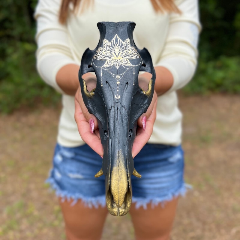 Painted Animal Skull - Etsy