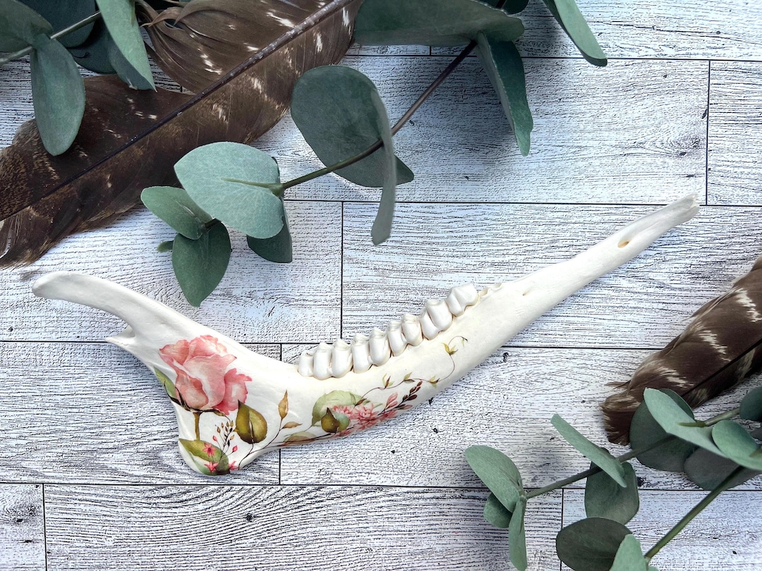 Pink Rose Floral Deer Jawbone - Watercolor Inspired Design - Cottage ...