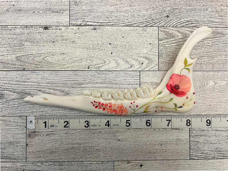Pink Poppy Floral Decorated Deer Jawbone Watercolor Inspired Design ...