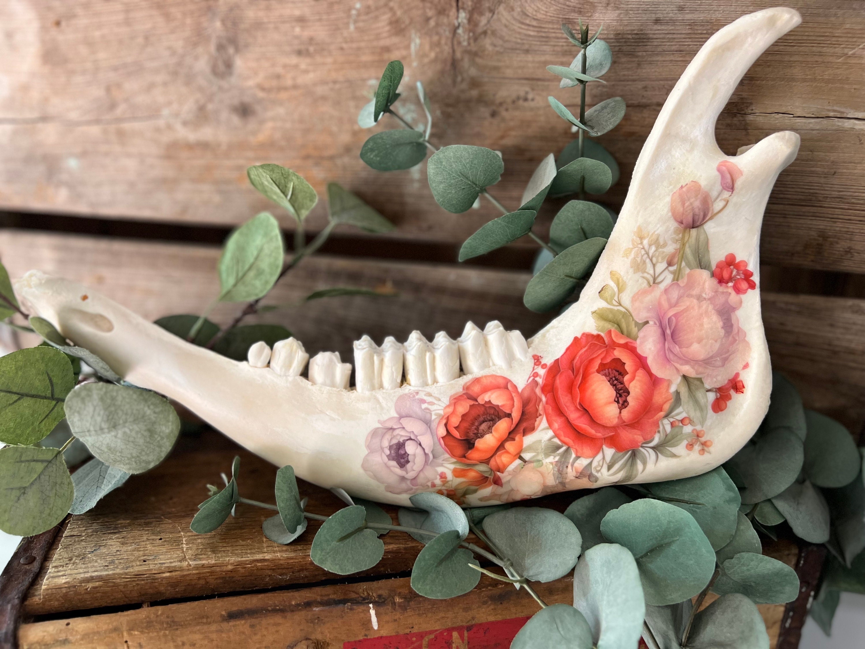 Pink Floral Decorated Cow Jaw Boho Decor Cottage Core Bone Art Feminine ...