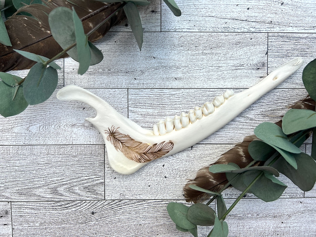 Gold Foil Feather Decorated Deer Jawbone - Cottage Core Decor - Boho ...