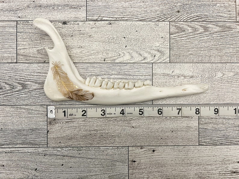 Gold Foil Feather Decorated Deer Jawbone - Cottage Core Decor - Boho ...