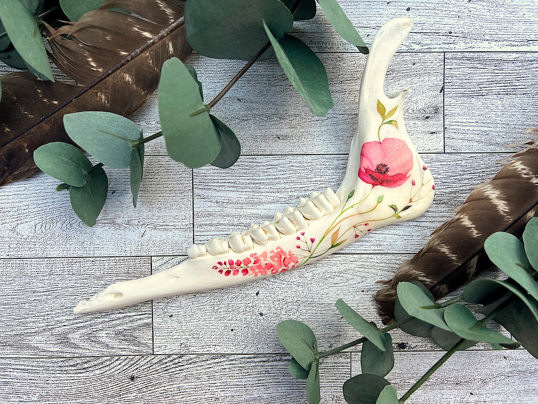 Pink Poppy Floral Decorated Deer Jawbone Watercolor Inspired Design ...