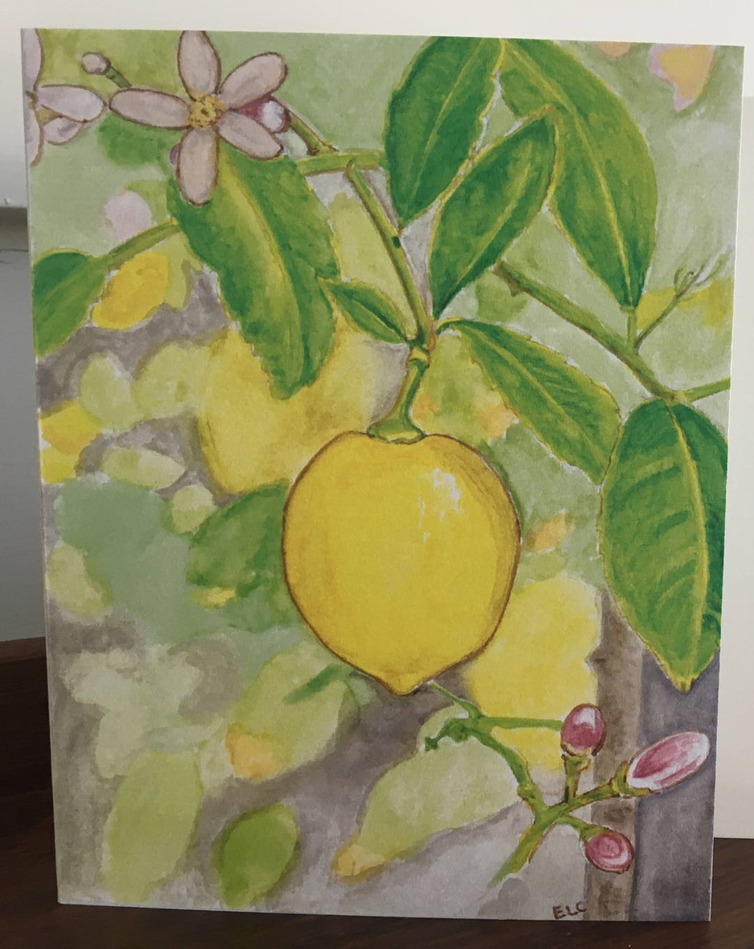 Note Cards: Lemon Tree - Etsy