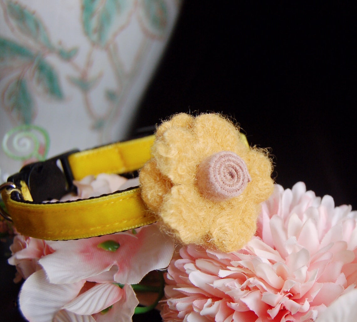 Beautiful Cat Collarcute Yellow Flower Collar for Small Dog - Etsy