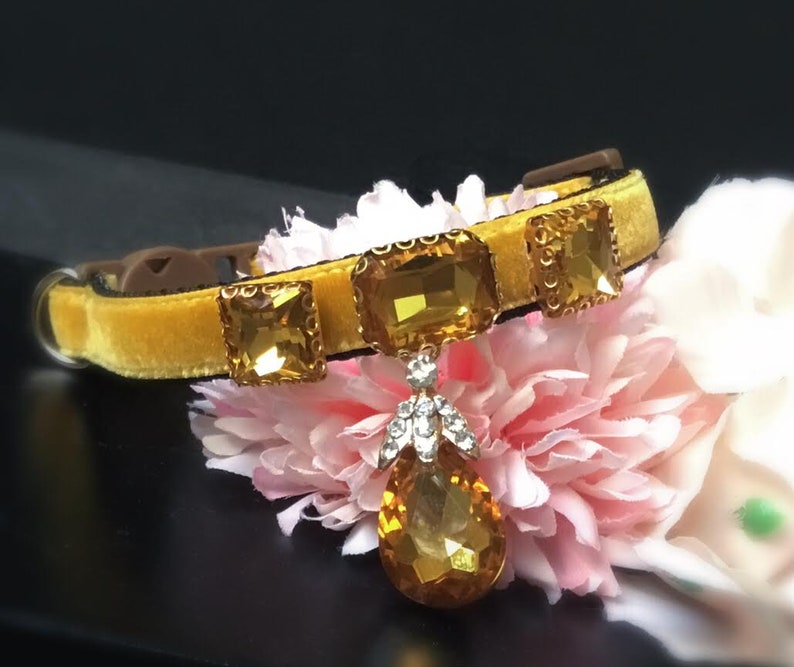 Luxury Rhinestone Cat Collar,ginger Yellow Velvet Dog Collar.tiny Dog ...
