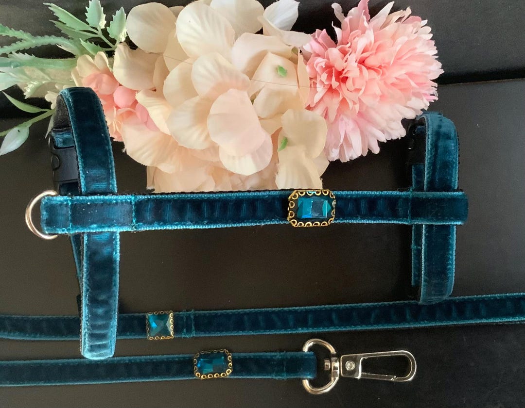 Cat Harness and Leash. Peacock Blue Velvet Harness for Puppy Dog ...