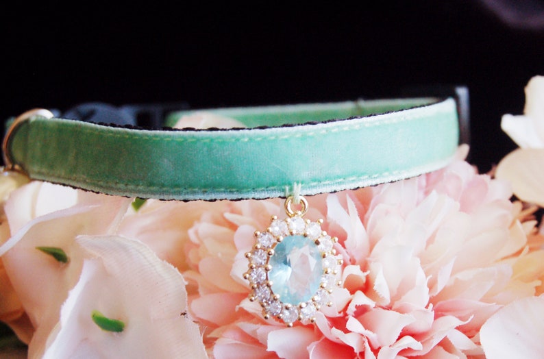 Princess Cat Collarrhinestone Cat Collarlight Green Velvet - Etsy