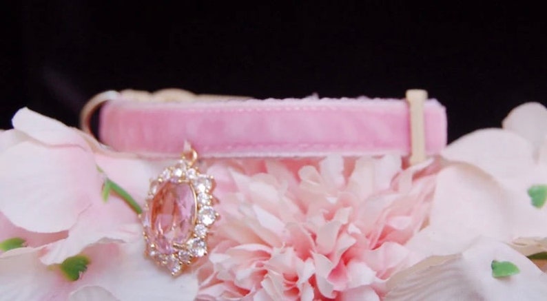 Princess Cat Collar. Rhinestone Cat Collarpink Velvet Dog - Etsy