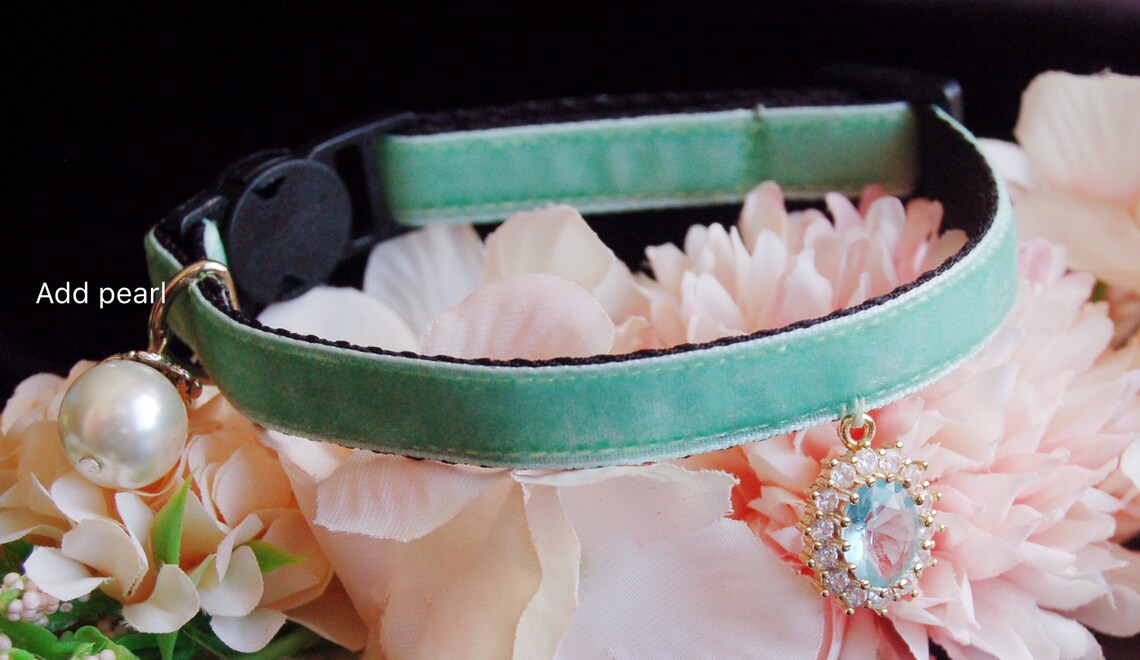 Princess Cat collarrhinestone Cat collarlight green velvet | Etsy