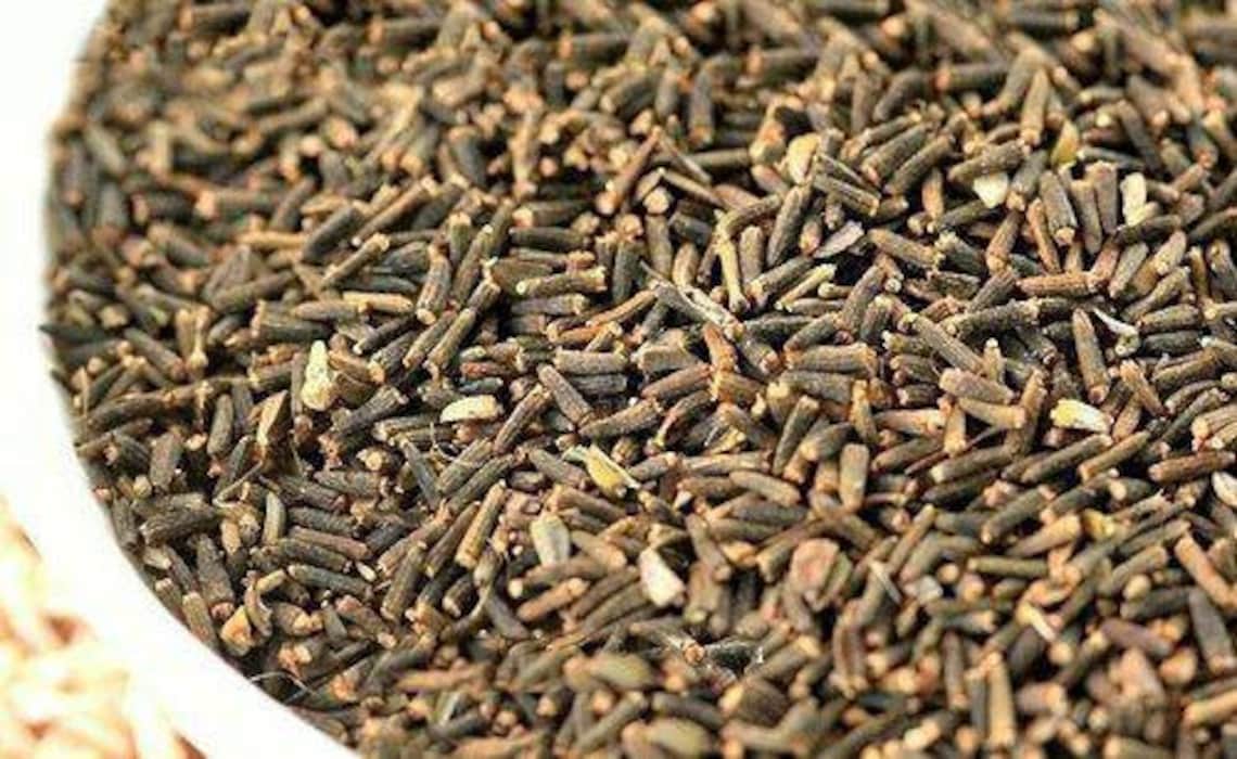 Kali Jeeri Kalijiri Centratherum Anthelminticum kali jiri | Etsy