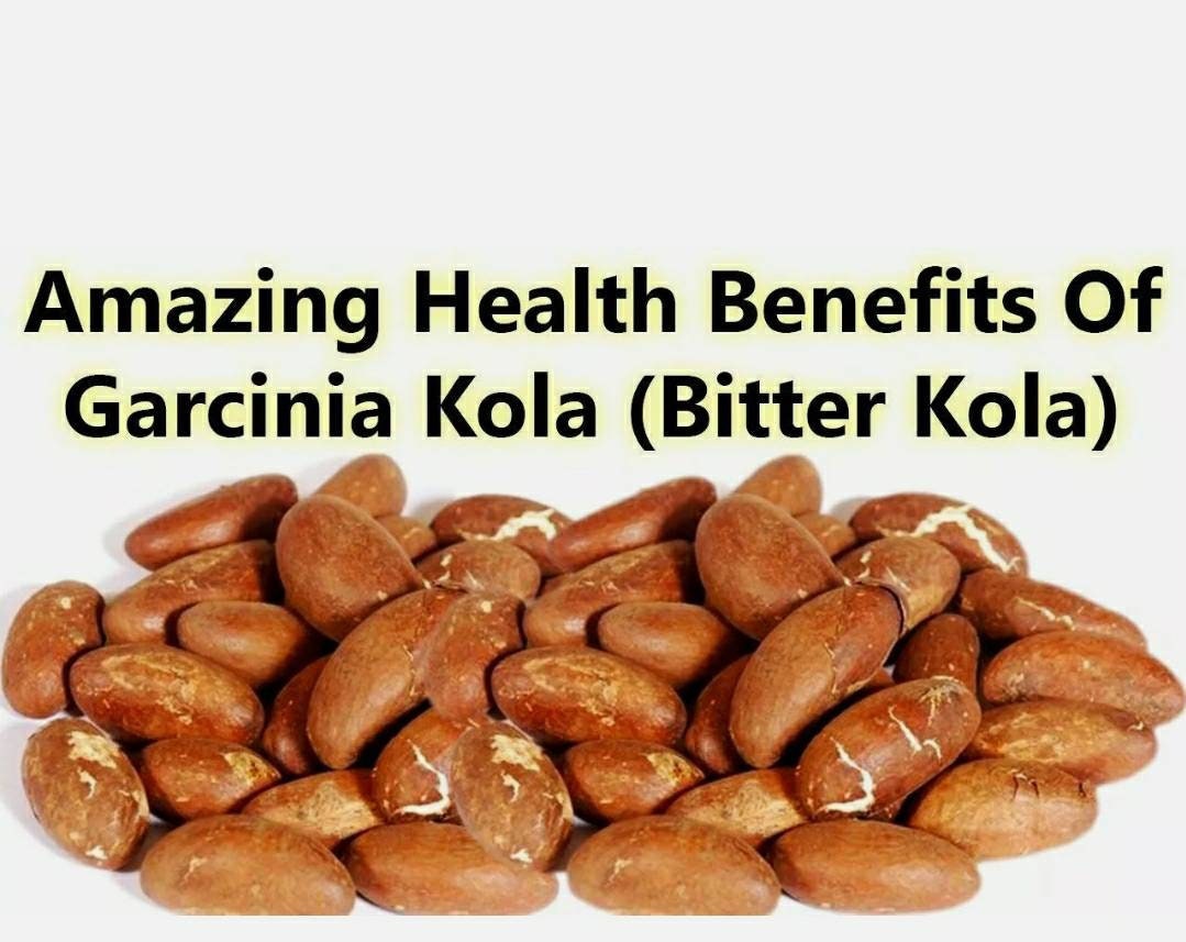 Bitter Kola Nuss afrikanische Bitter Cola frische Garcinia | Etsy
