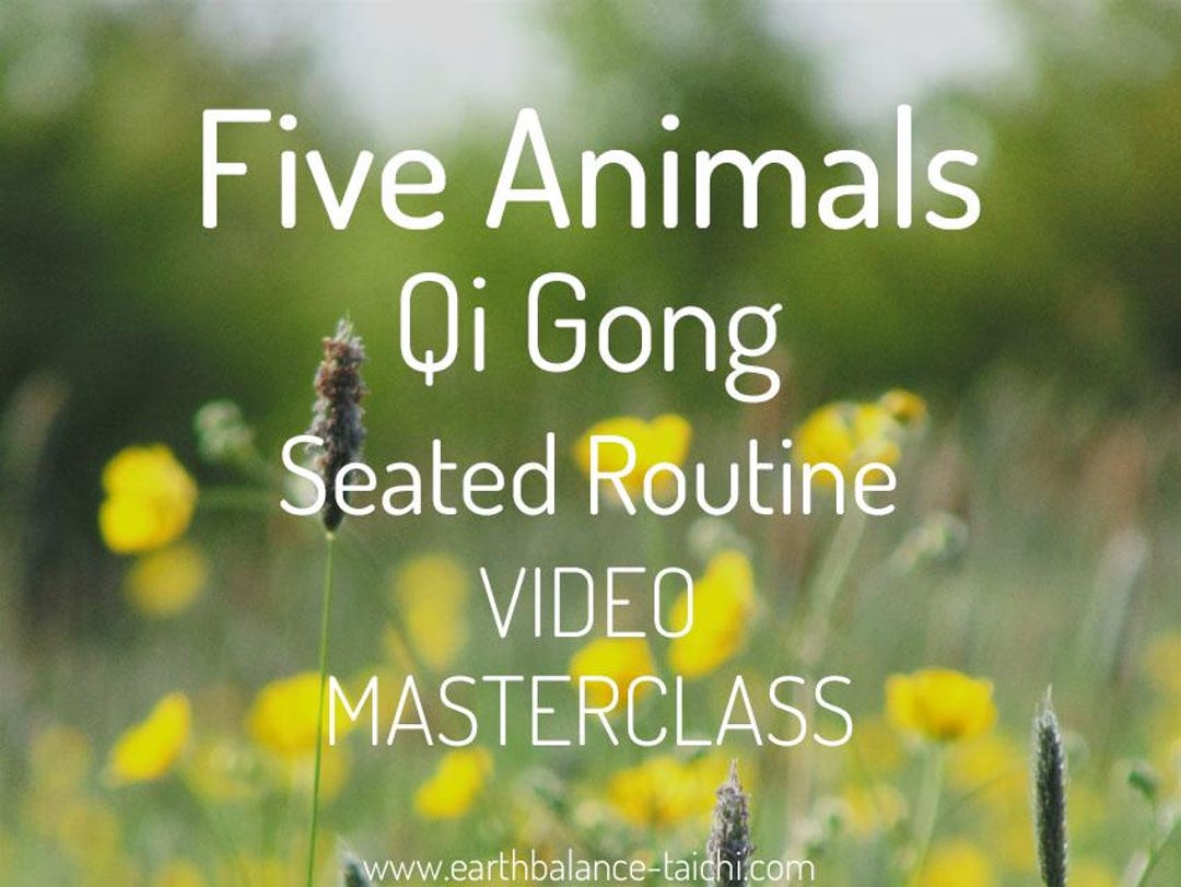 Seated Five Animals Qigong Video Class: Reduced Mobility Chair Qigong ...