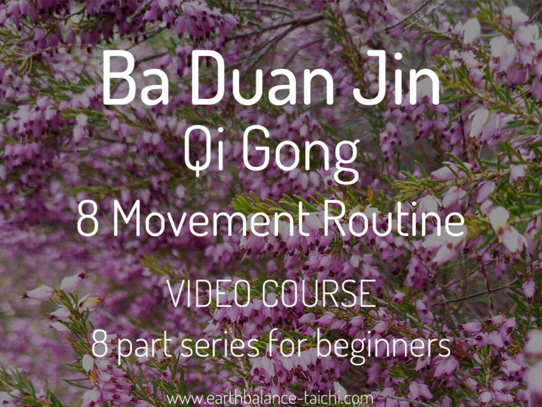 8 Pieces of Brocade Qigong Video Course for Beginners: Downloadable MP4 ...