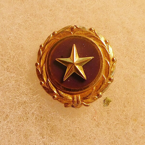 Gold Star Mothers Pin - Etsy