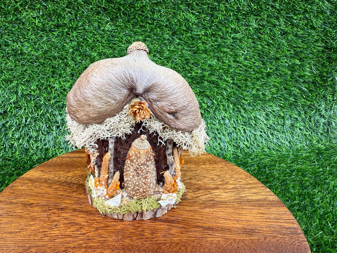 Small Gnome House, Handmade, “dimples Dinwiddie” of the River Gnomes of ...
