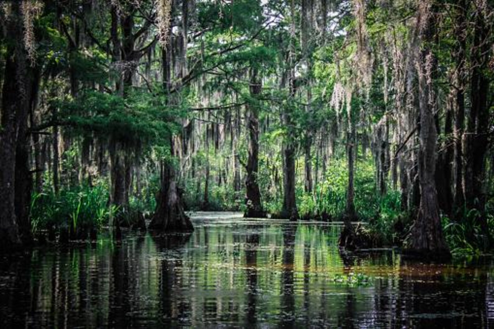 Cajun Creation Designs, Special Order, See Additional Items at My Store ...