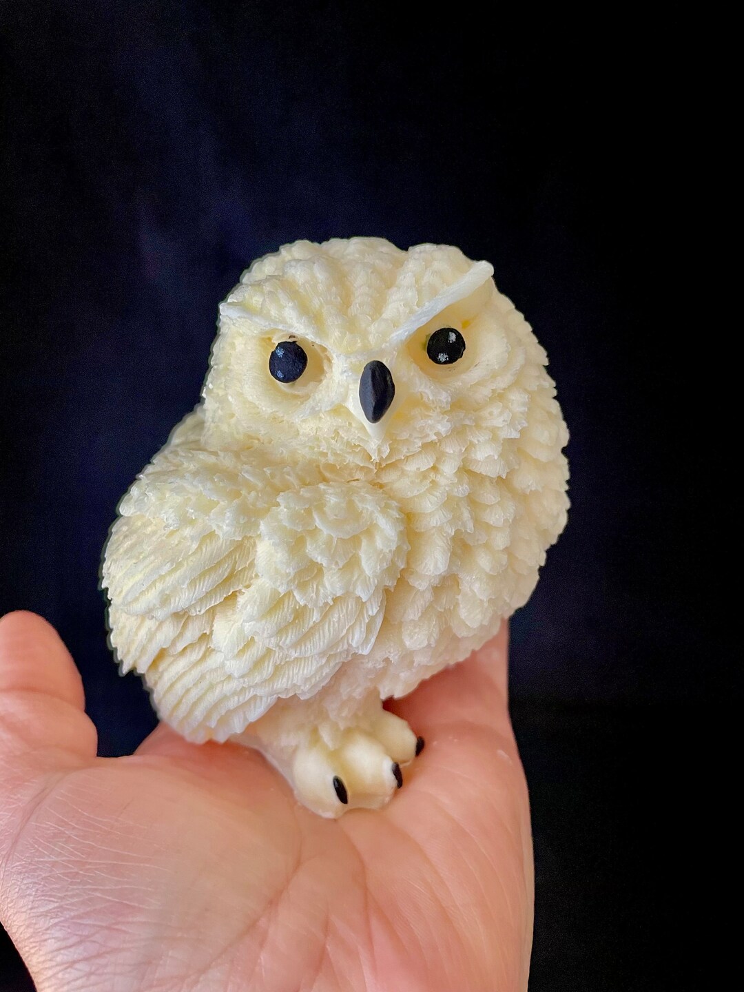 Magic Owl Wizard Chocolate Edible Cake Topper - Etsy