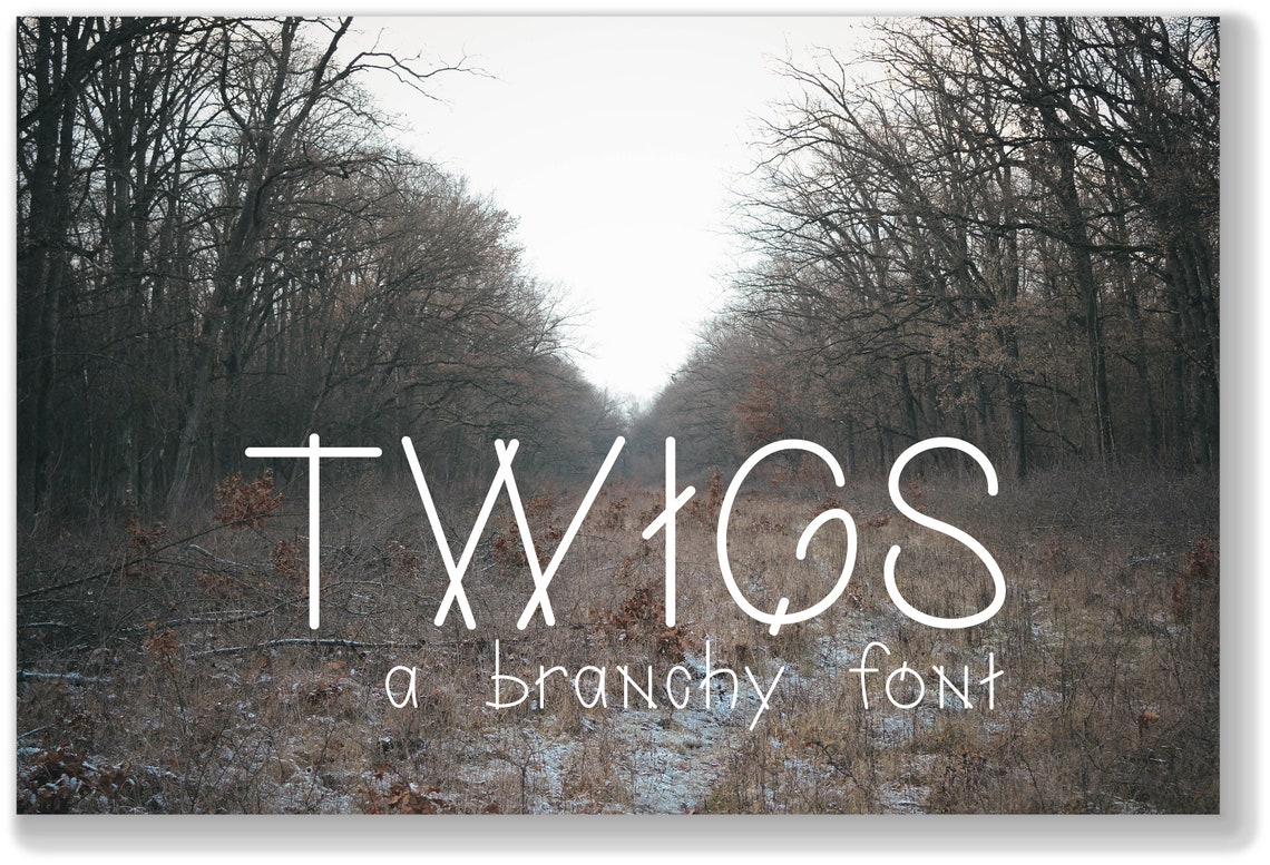 Twigs: A Branchy Font Skinny Font Adventure Font Thin Font - Etsy