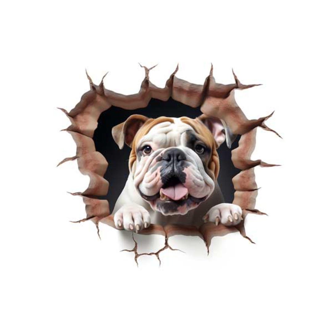 Panel Velvet Velour Bulldog Dimensions: Approx. 45 X 45 Cm Sewing ...