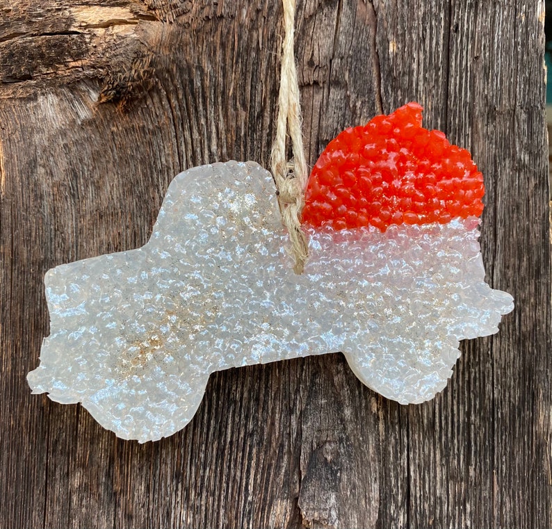 FREE SHIPPING Fall pumpkin Seasonal Freshie aroma bead | Etsy