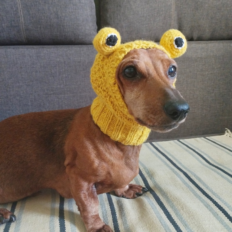 Dog Hats - Etsy