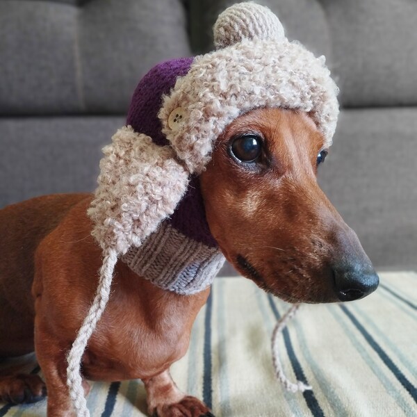 Knitted Dog Hat - Etsy