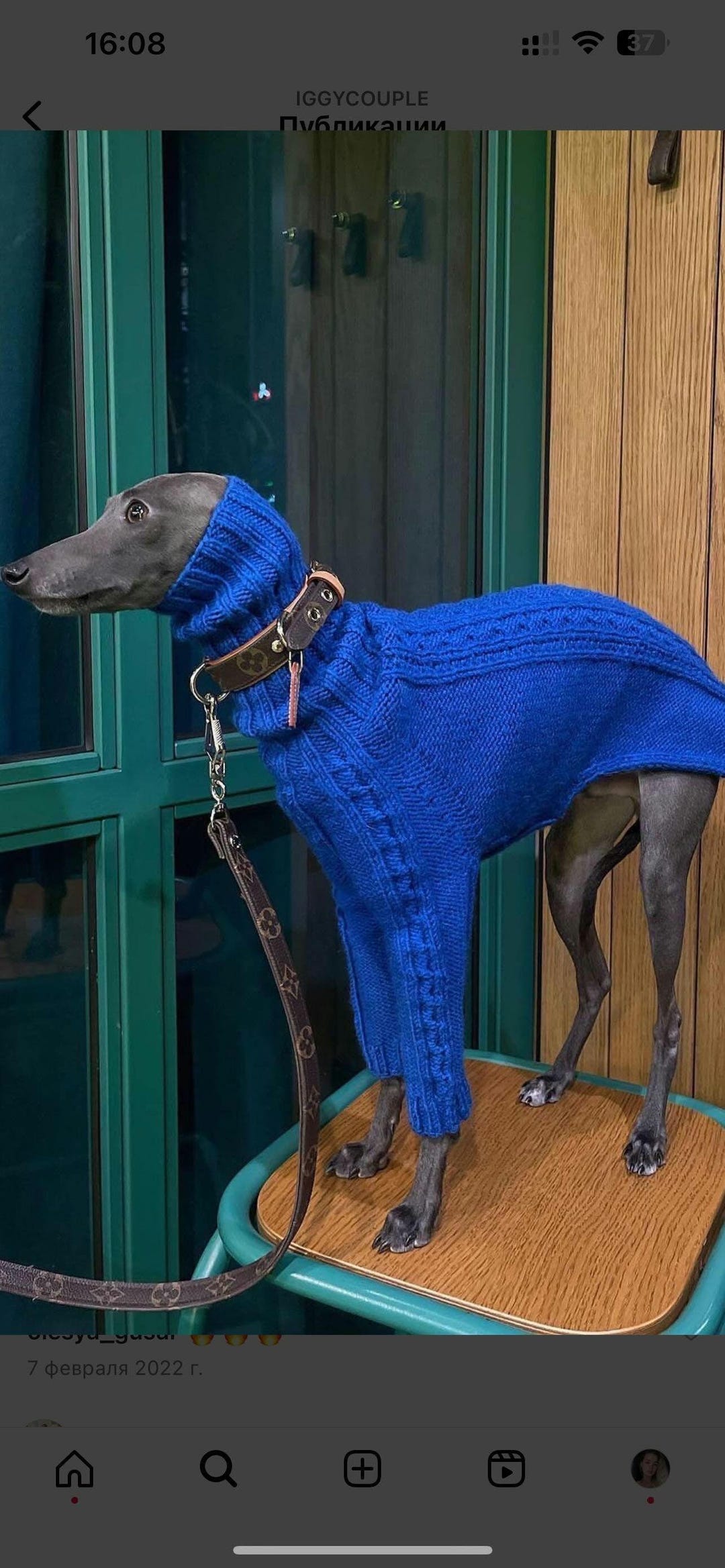Italian Greyhound Sweater Hand Knitted Warm and Cozy Dog Clothing ...
