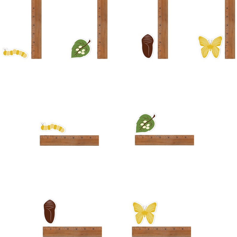 Butterfly Life Cycle Sticker Set - Etsy