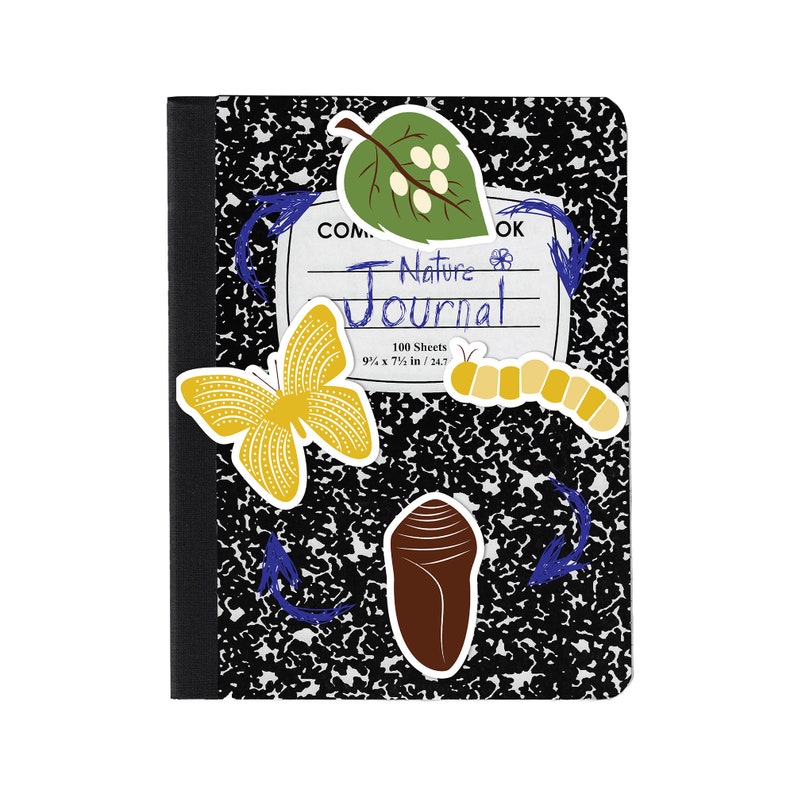 Butterfly Life Cycle Sticker Set - Etsy