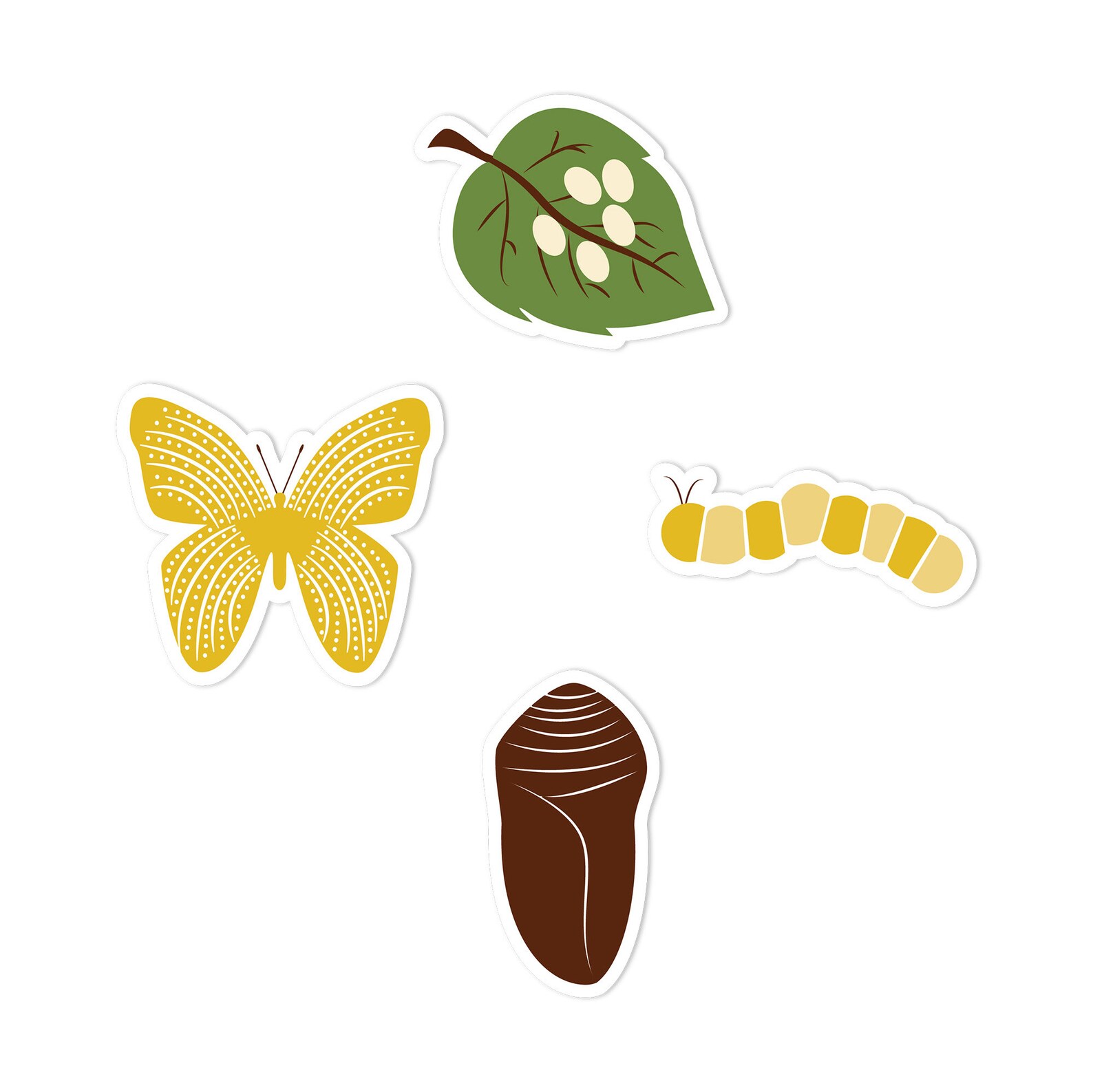 Butterfly Life Cycle Sticker Set - Etsy