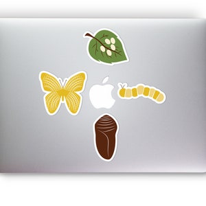 Butterfly Life Cycle Sticker Set - Etsy
