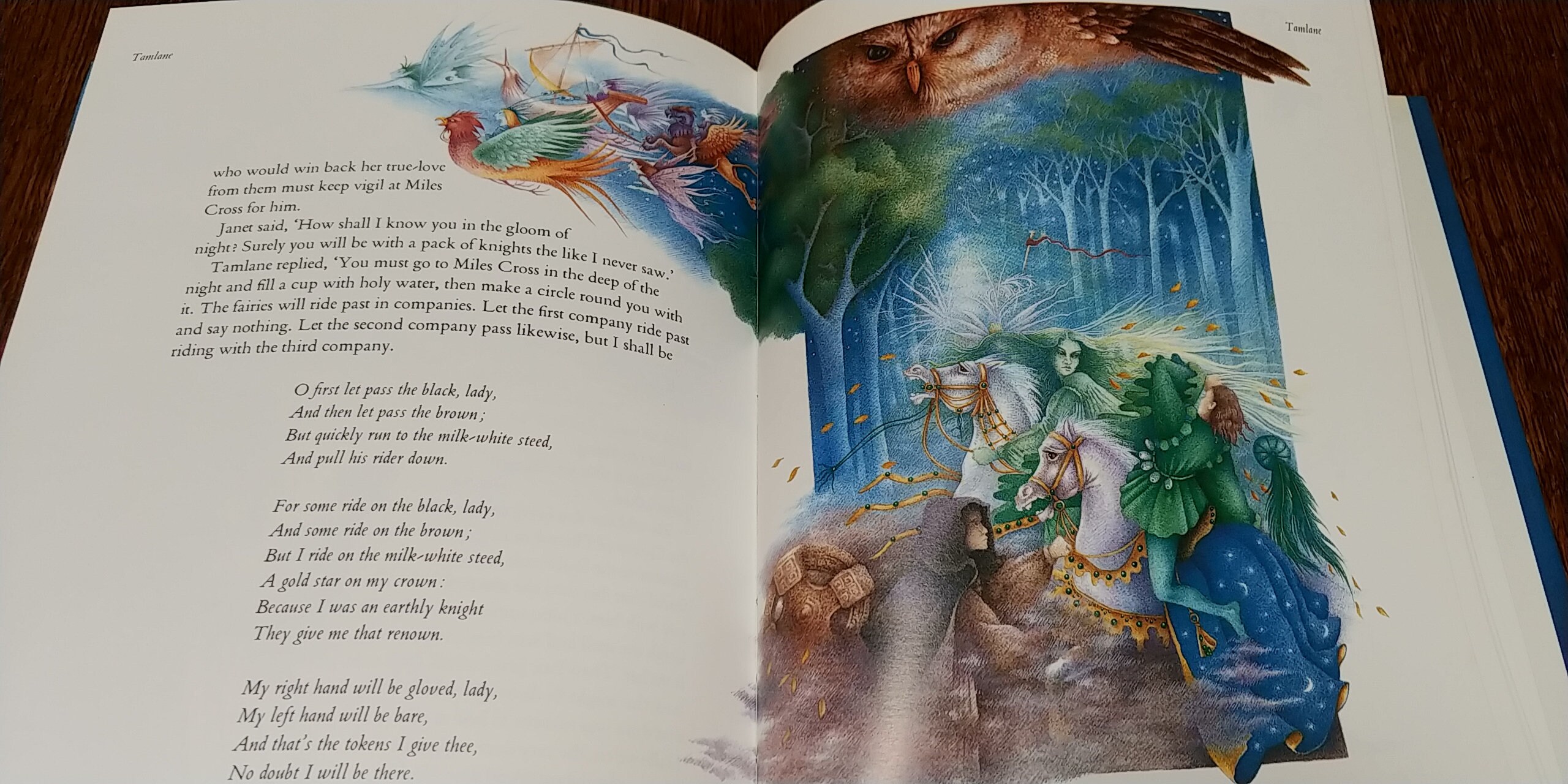 The Enchanted World by Amabel Williams-Ellis - Moira Kemp - First ...