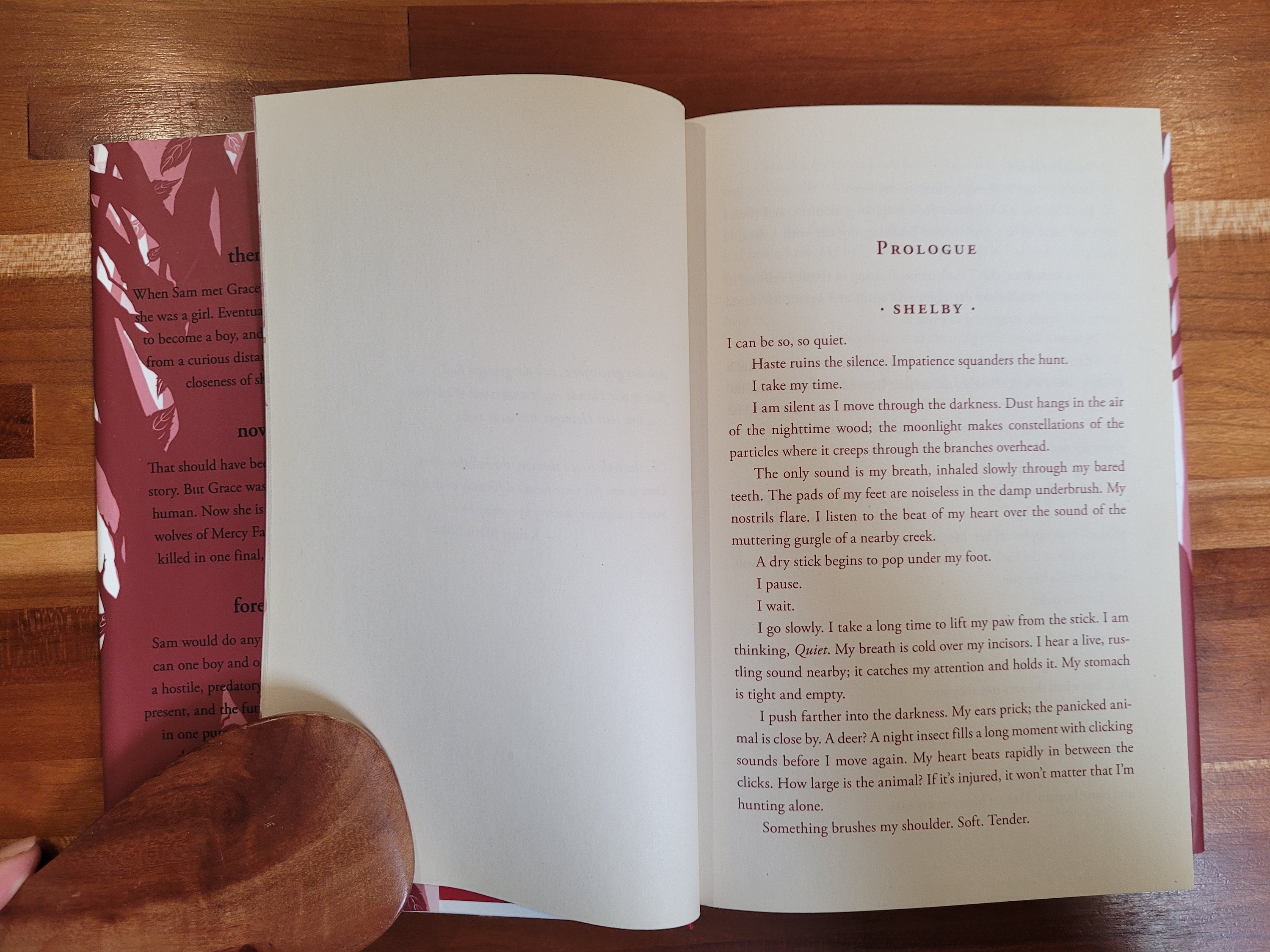 Forever by Maggie Stiefvater - 2011 First Edition - Wolves of Mercy ...