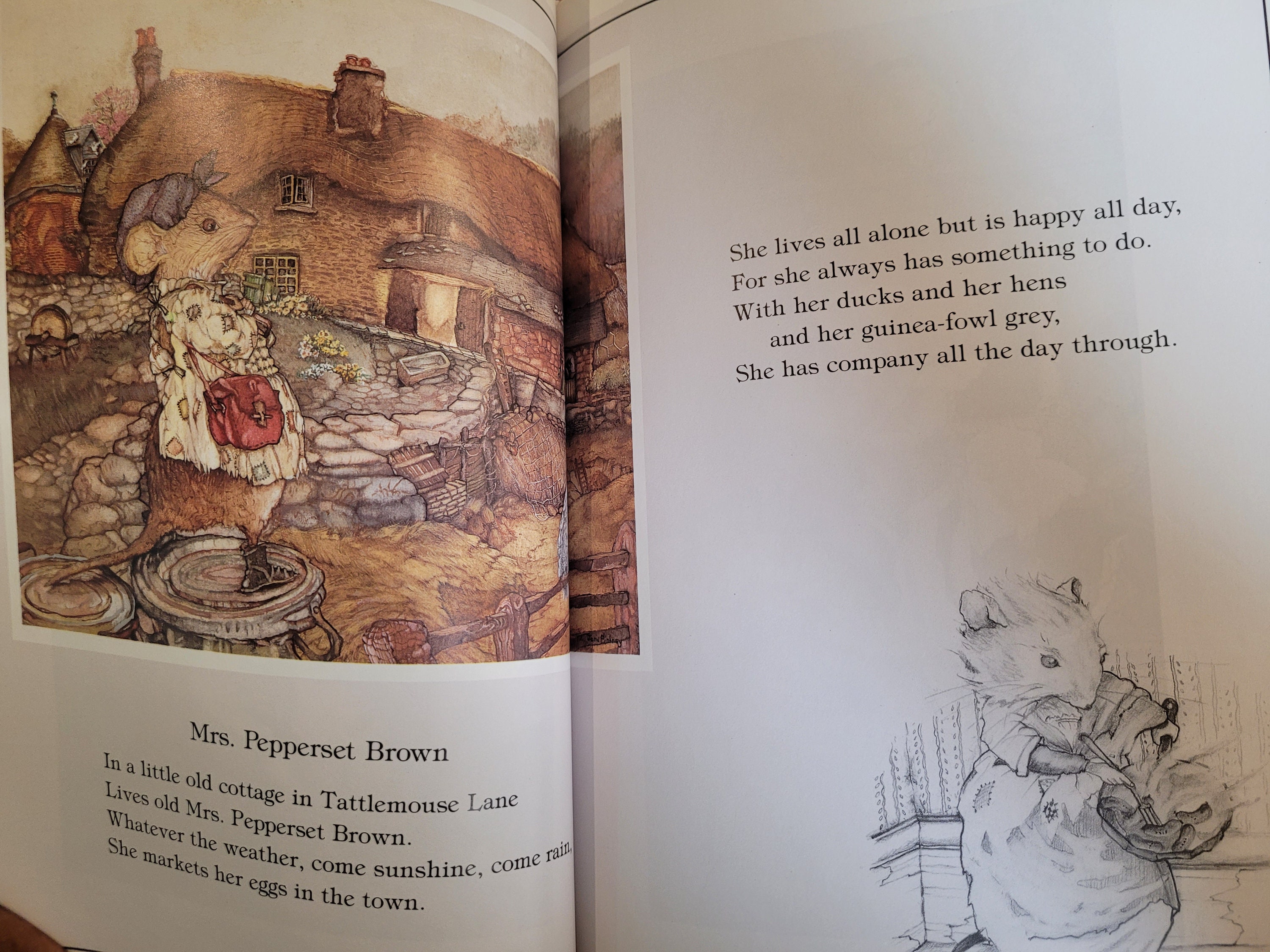 The Mice of Nibbling Village by Margaret Greaves, Jane Pinkney - 1986 ...
