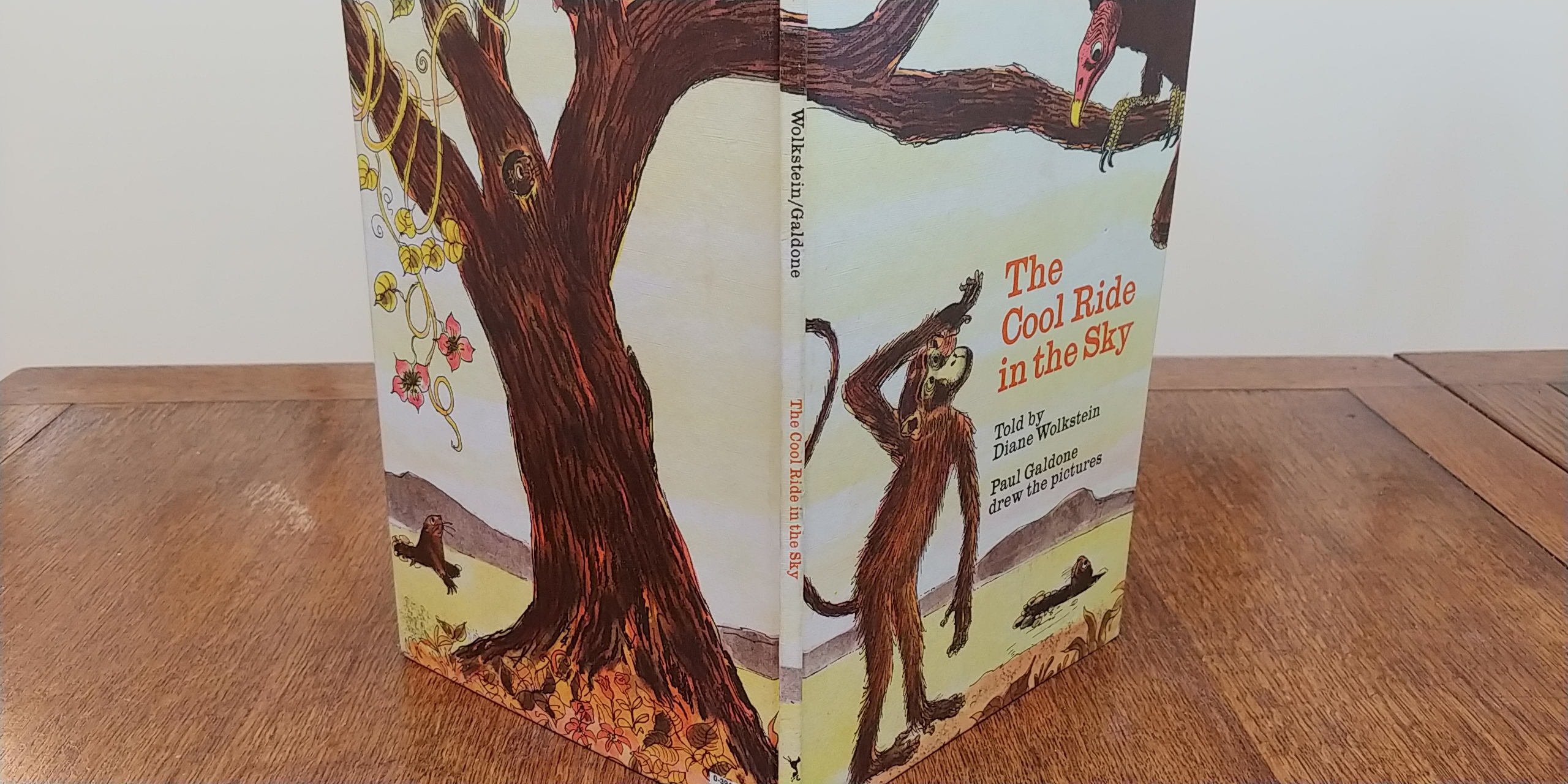 The Cool Ride in the Sky by Diane Wolkstein and Paul Galdone - First ...