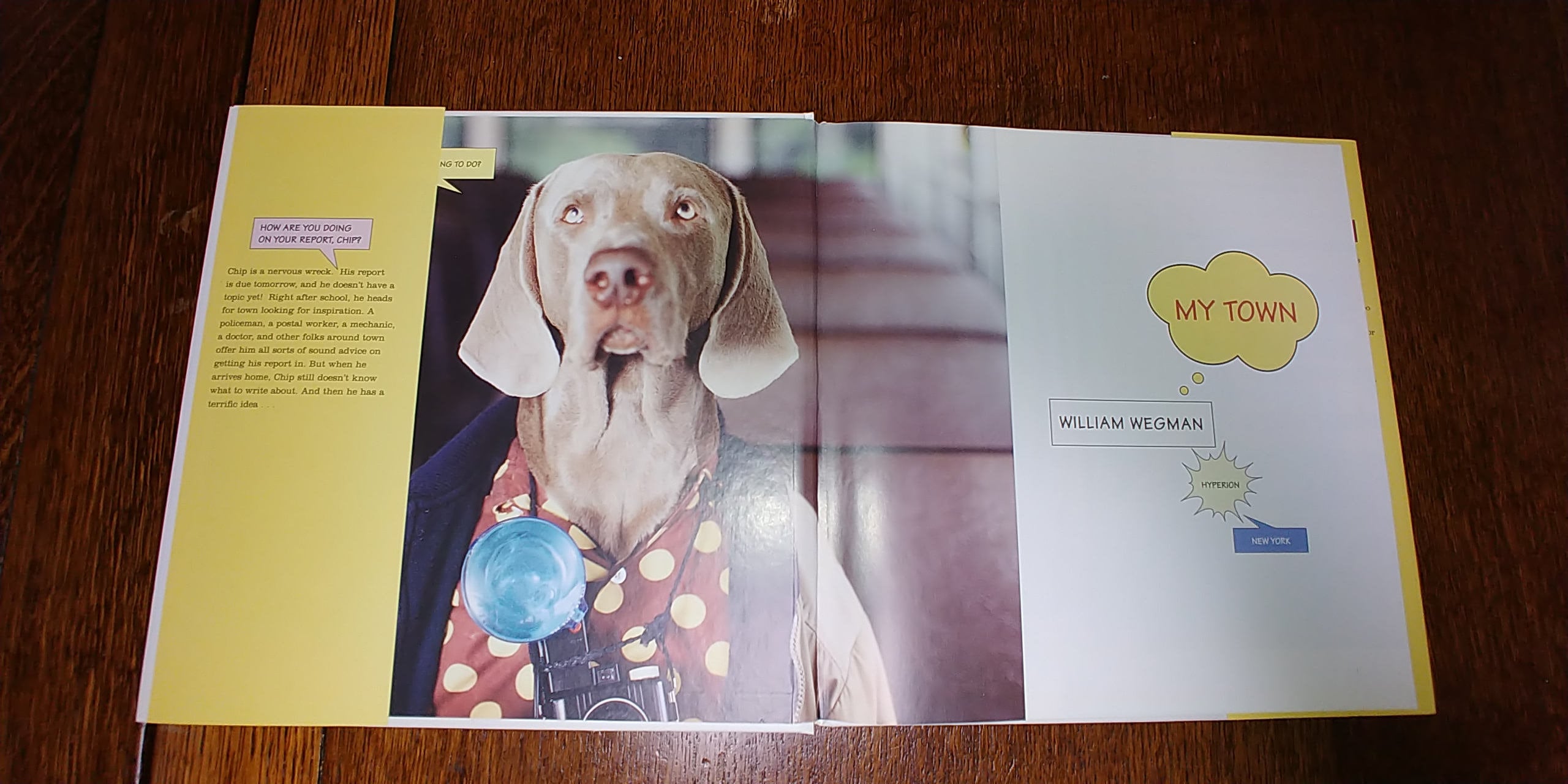 My Town by William Wegman - First Edition Children's Books, Kids Book ...