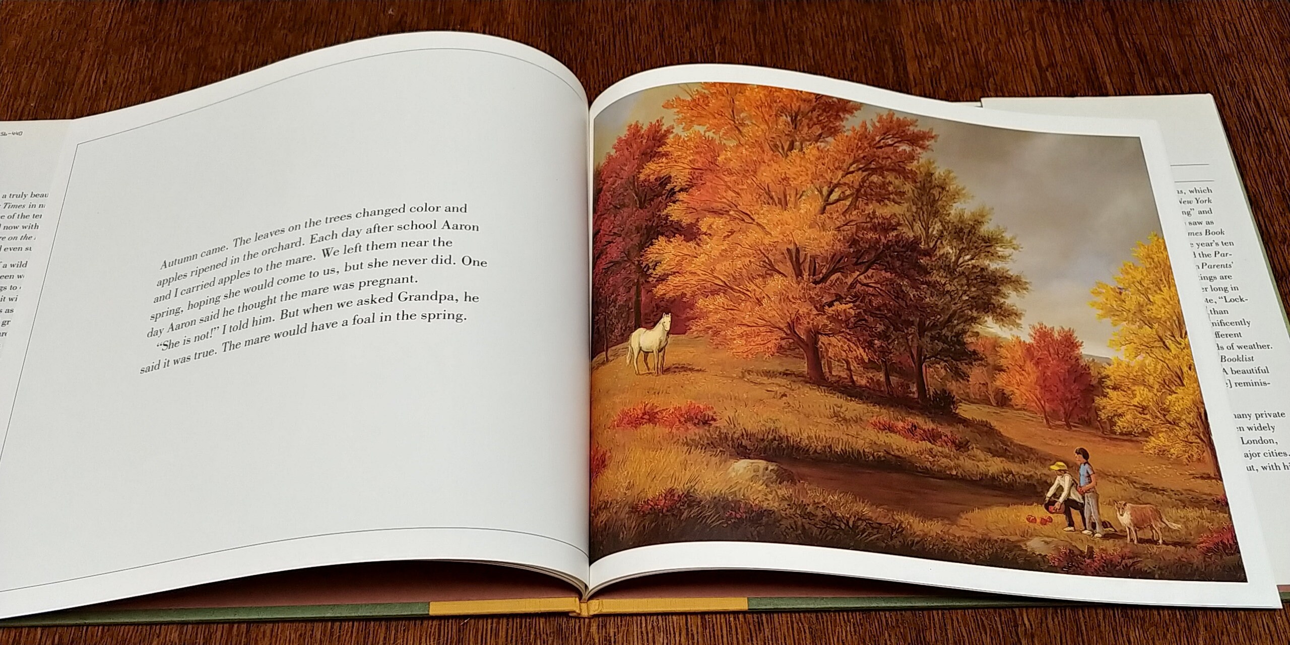 The Mare On The Hill by Thomas Locker - Children's Books - Vintage Book ...