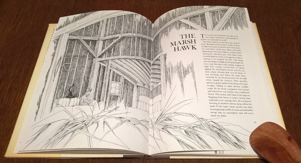 The Daywatchers by Peter Parnall - First Edition, Author Signed - Child ...