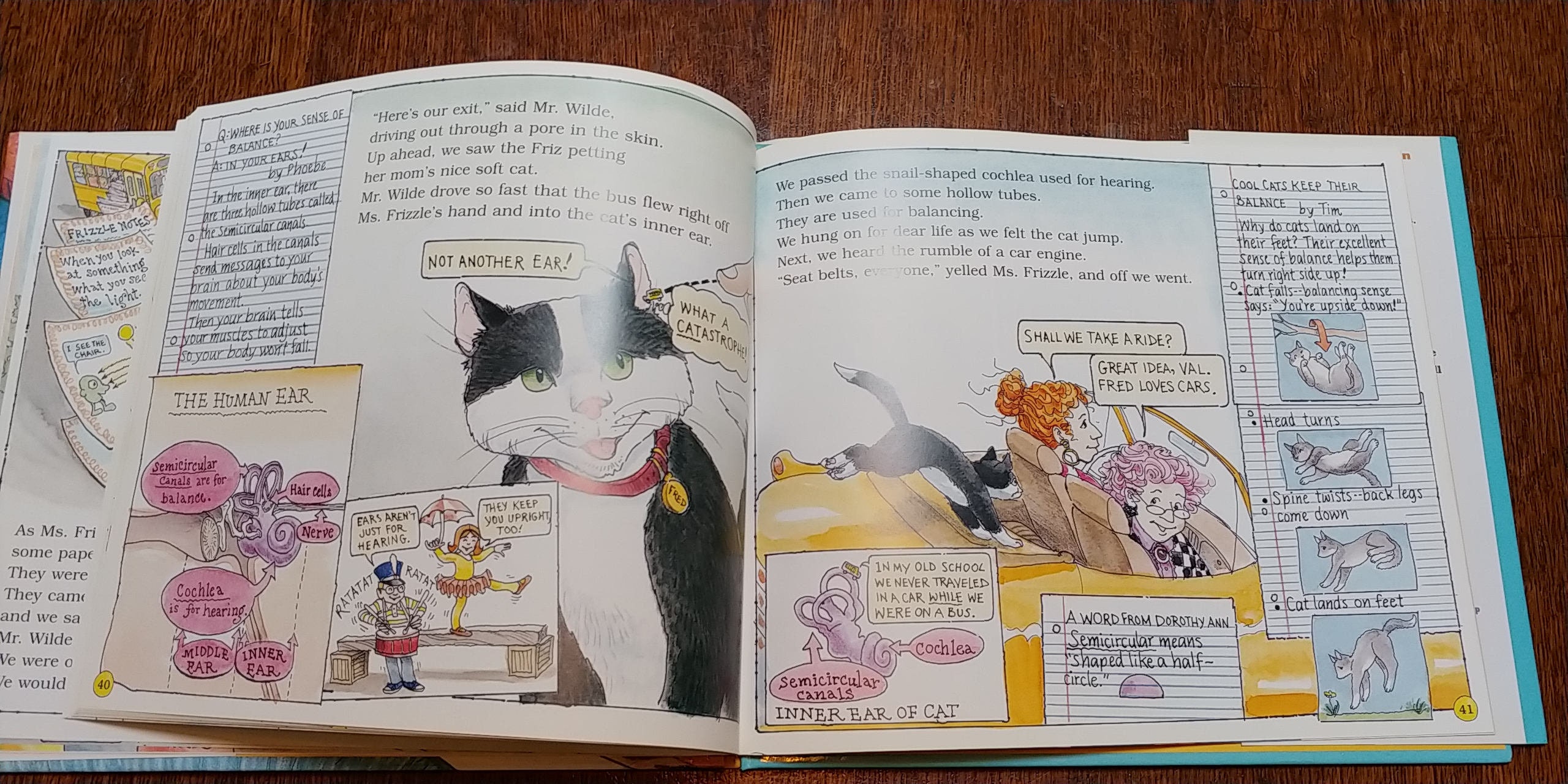 The Magic School Bus Explores The Senses by Joanna Cole, Bruce Degen ... The Magic School Bus Explores The Senses by Joanna Cole, Bruce Degen ...