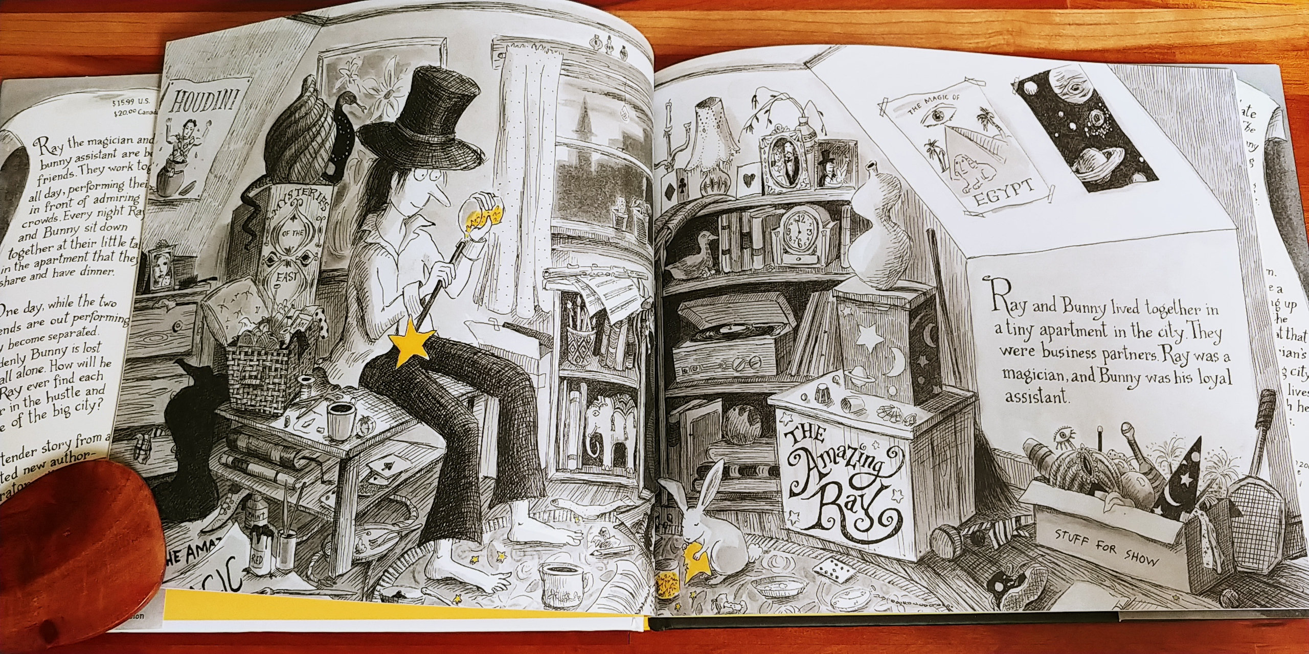 The Magic Rabbit by Annette LeBlanc Cate - First Edition Children's Books