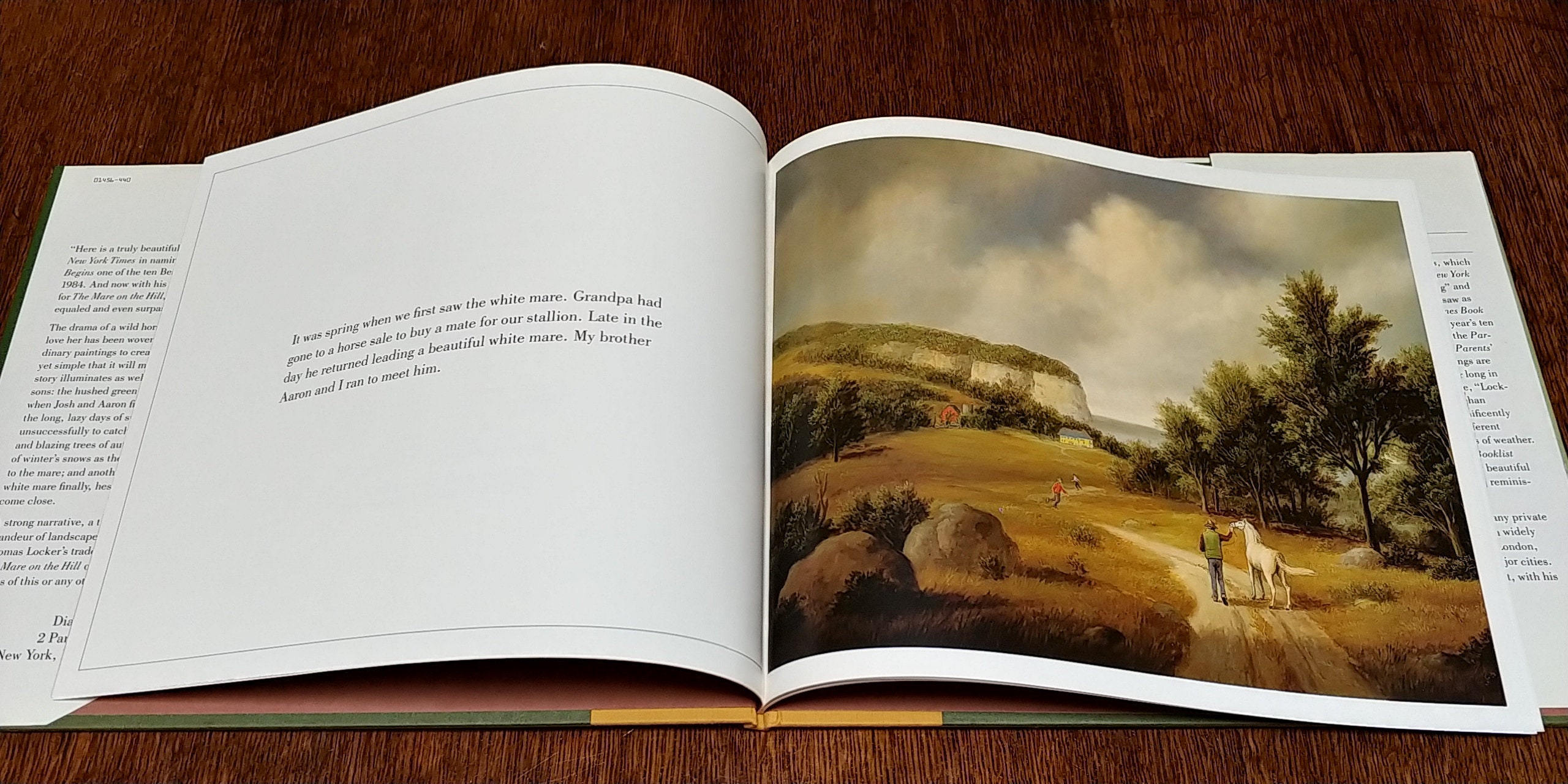 The Mare On The Hill by Thomas Locker - Children's Books - Vintage Book ...