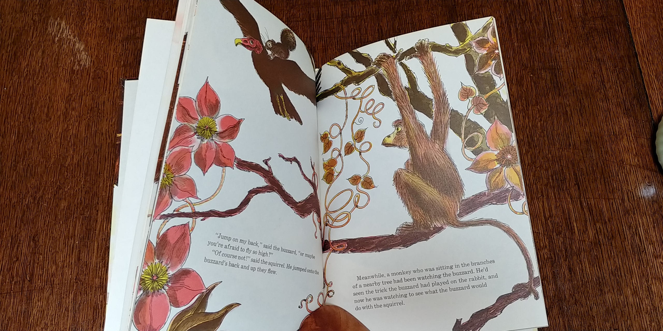 The Cool Ride in the Sky by Diane Wolkstein and Paul Galdone - First ...