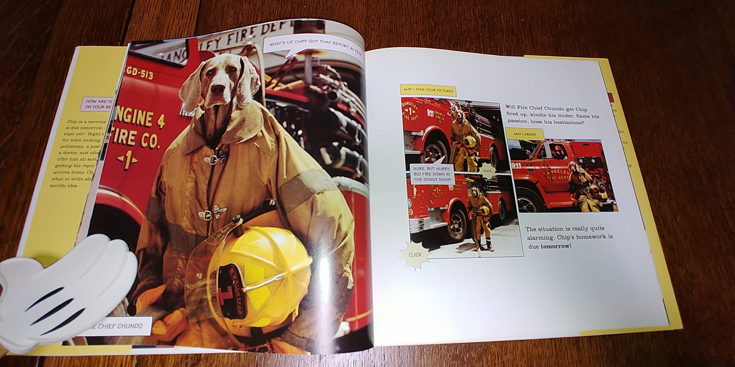 My Town by William Wegman - First Edition Children's Books, Kids Book ...
