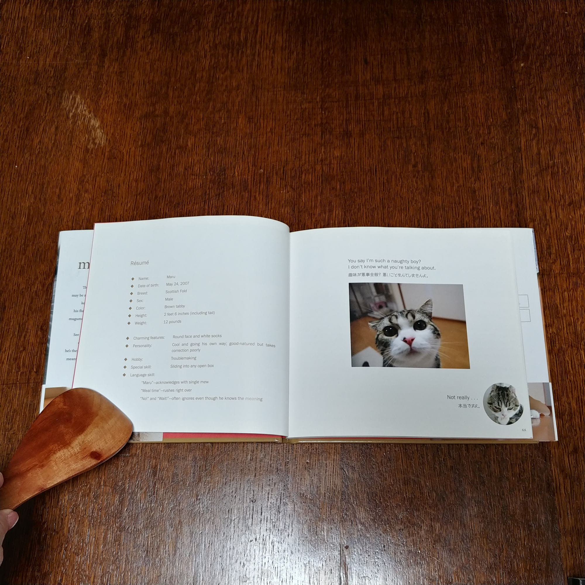 I Am Maru by Mugumogu - First Edition Children's Books - Photography ...